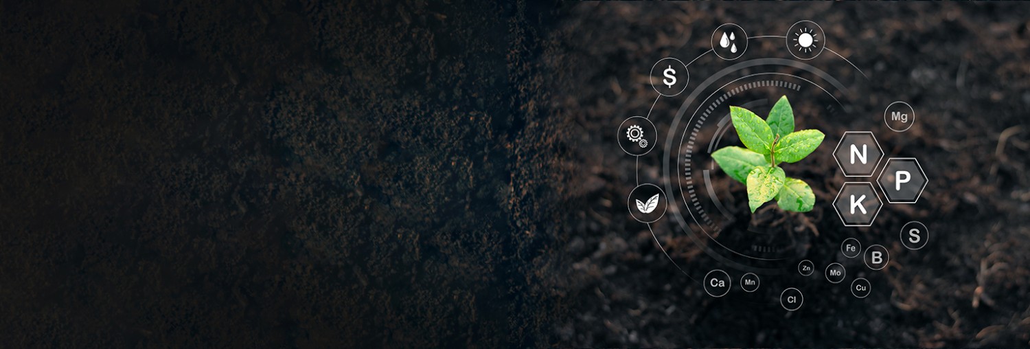 Your Trusted Partner for Comprehensive Agricultural Solutions- Kissan Agri Mall